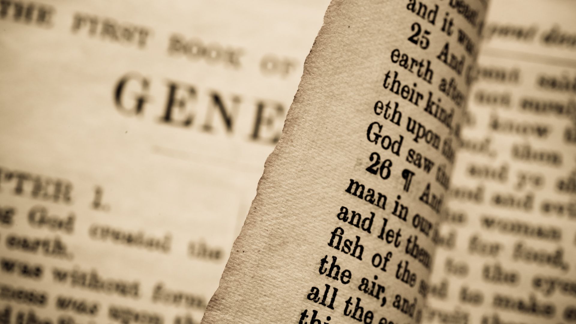 Genesis